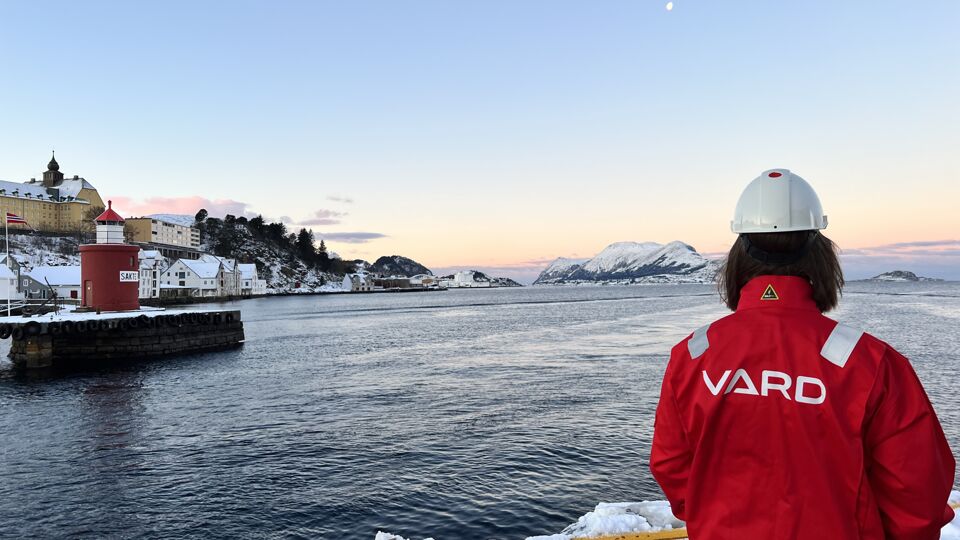 12 years of seizing opportunities - VARD