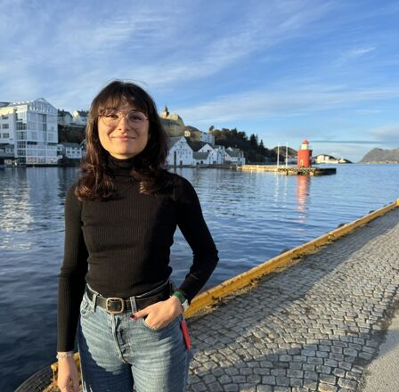 The future of ships - VARD