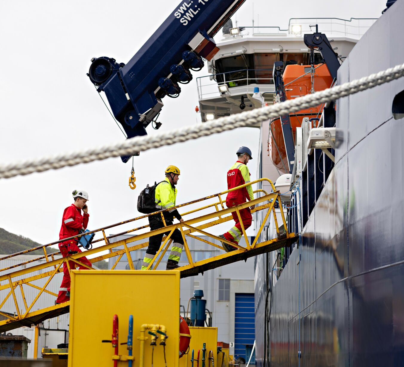 New CEO in VARD - VARD