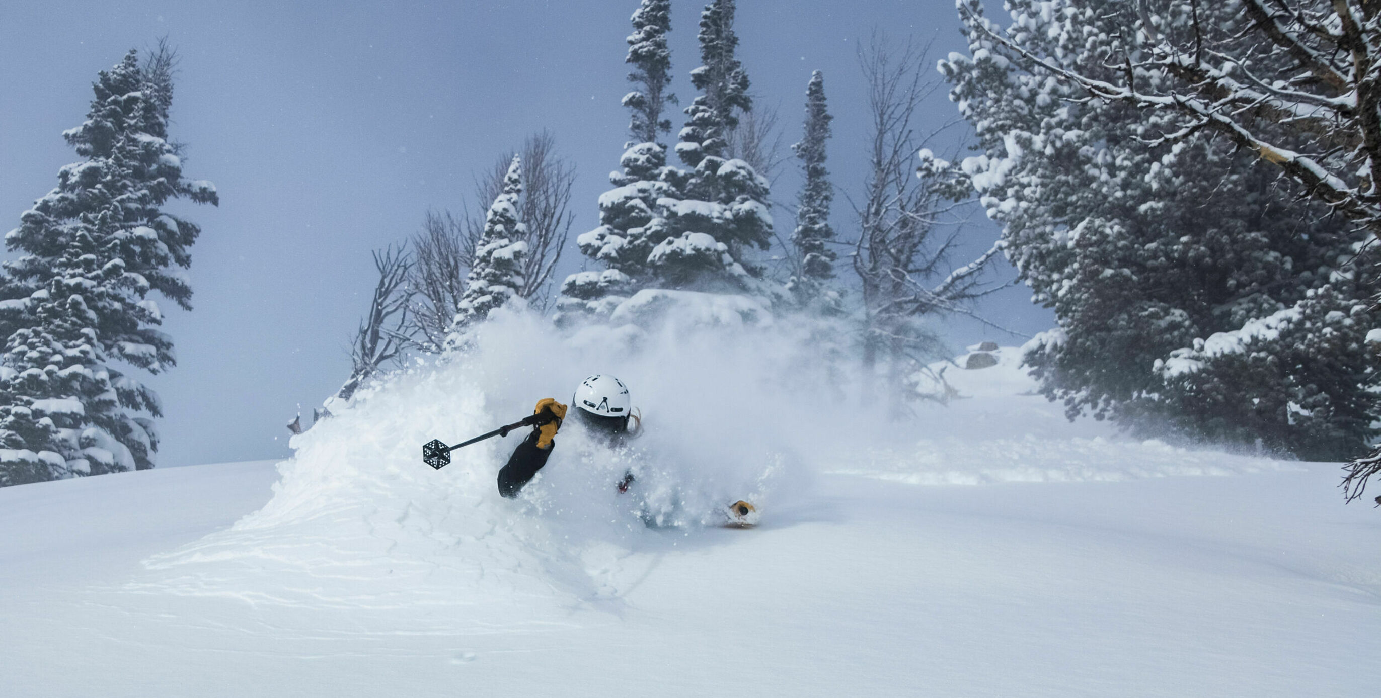 Best in steep terrain - VARD