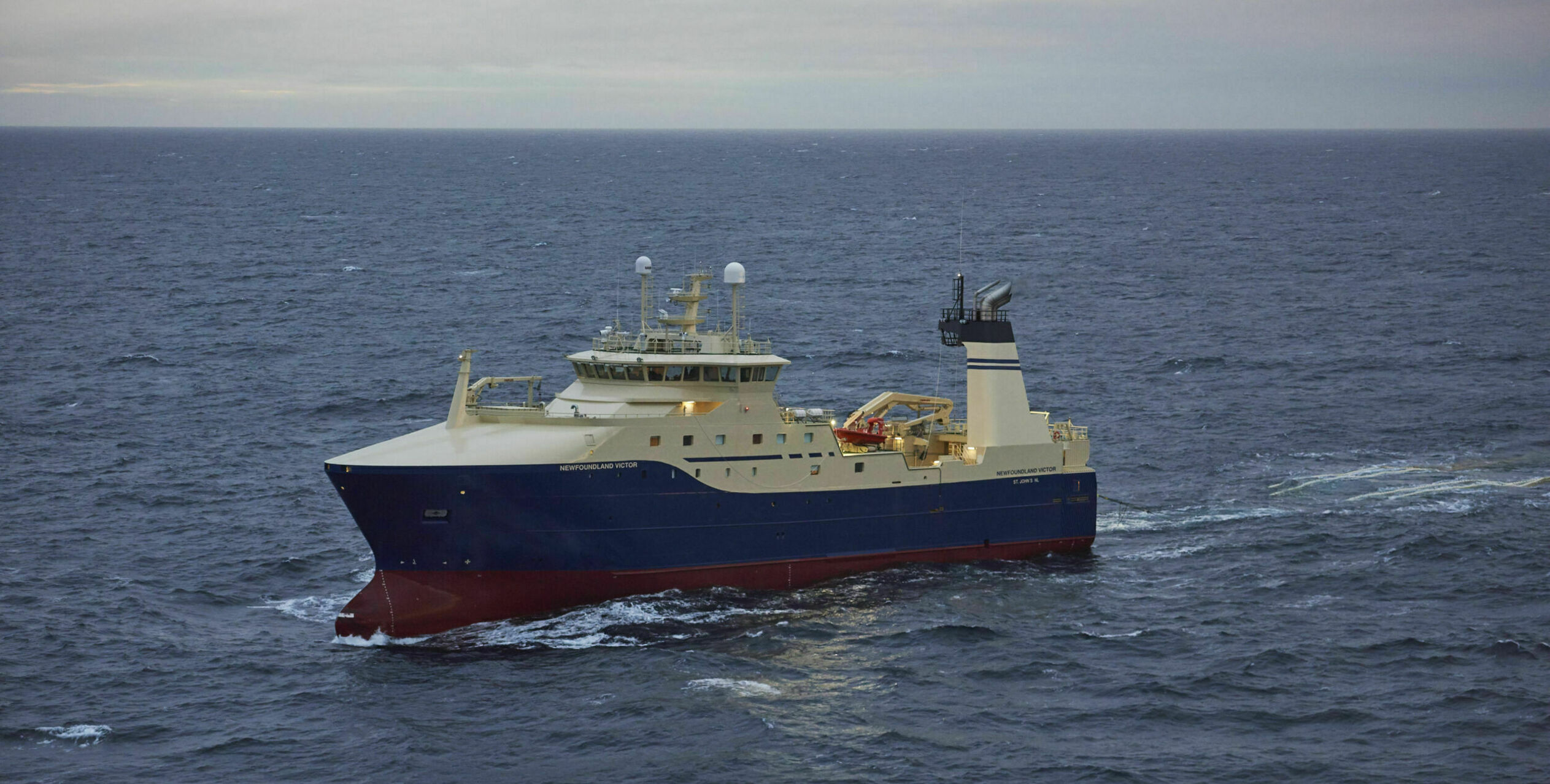 Newfound Victor - VARD