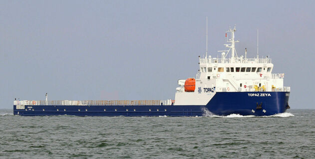 Topaz Zeya - VARD